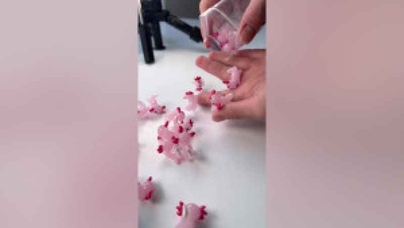 ماشا و میشا - کارتون ماشا و آقاخرسه - ماشا و انیمیشن جذاب